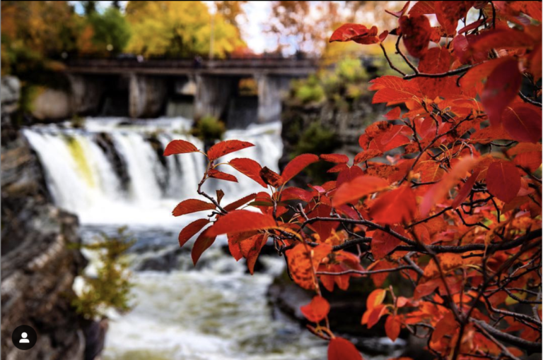 Top 10 Places in Ottawa Area to View Fall Foliage — RE/MAX the Susan ...