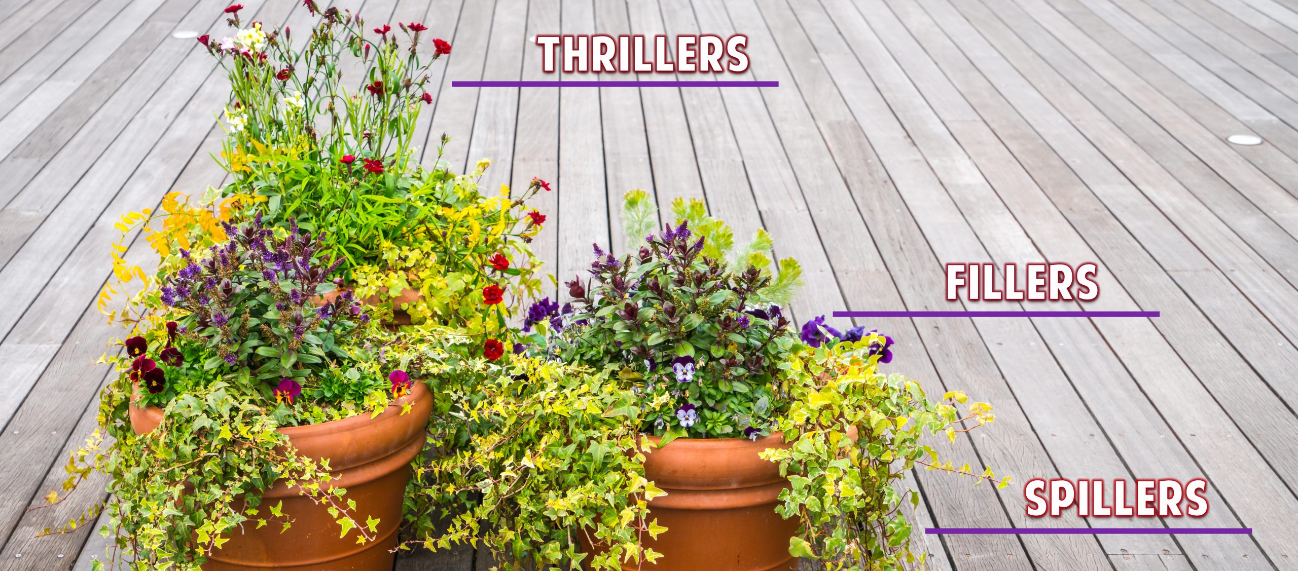 Thrillers, Spillers, and Fillers — RE/MAX the Susan and Moe Team